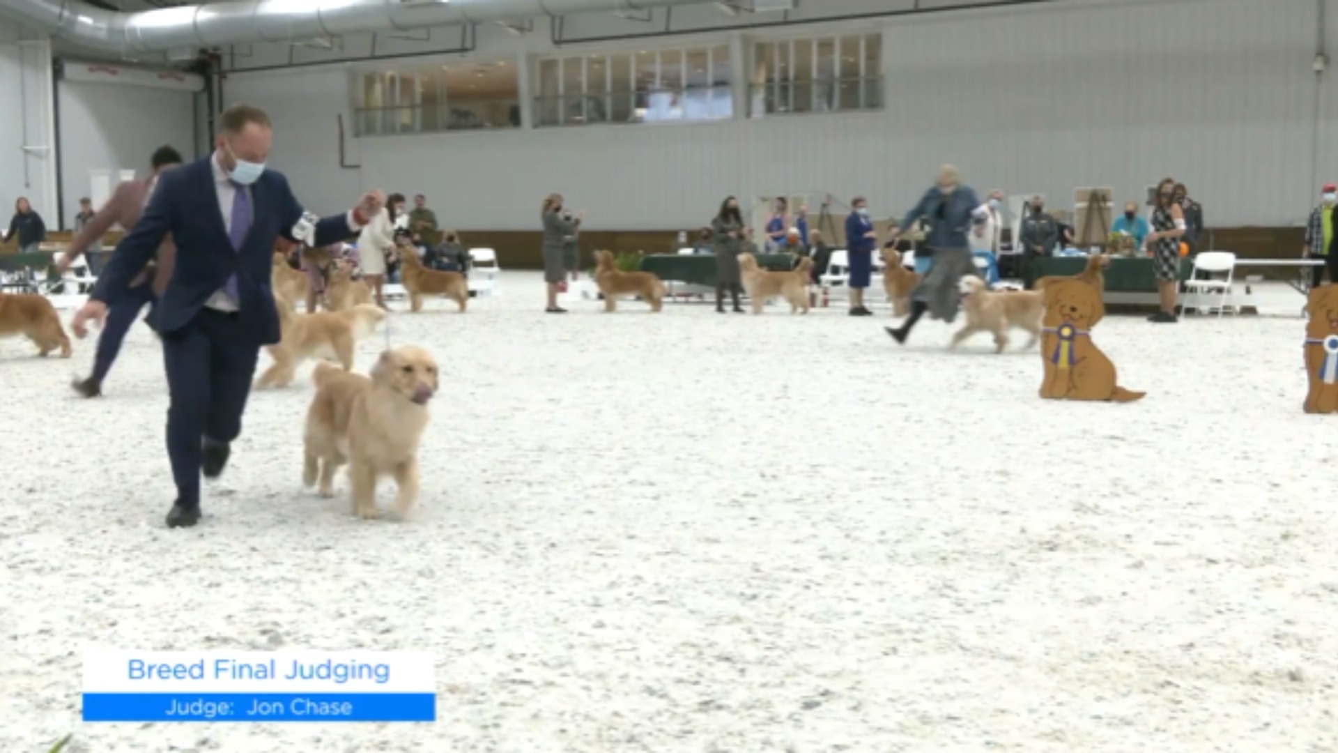 Breed Final Judging | AKC.tv