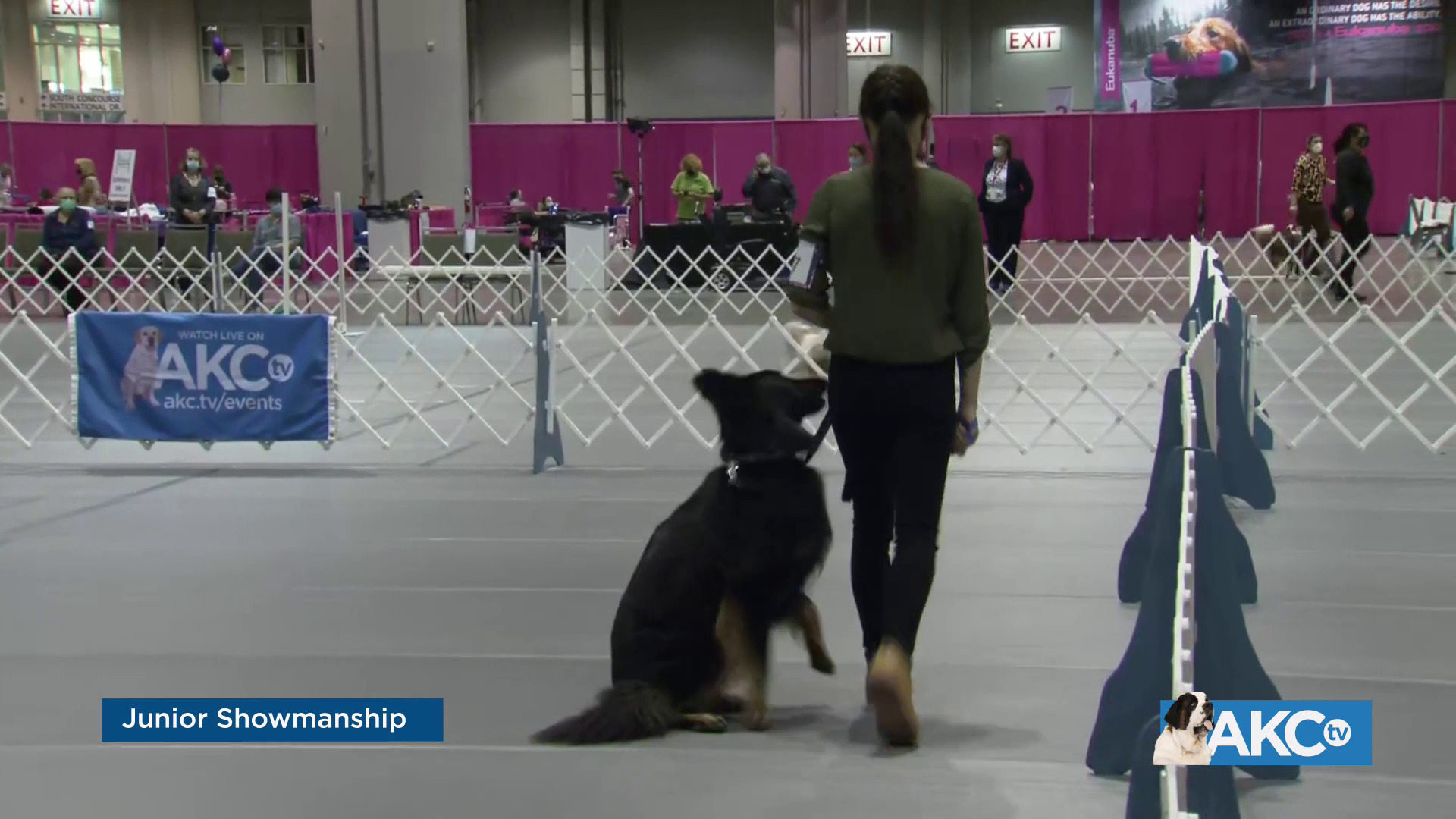 Obedience Novice Saturday - Part 1 | AKC.tv