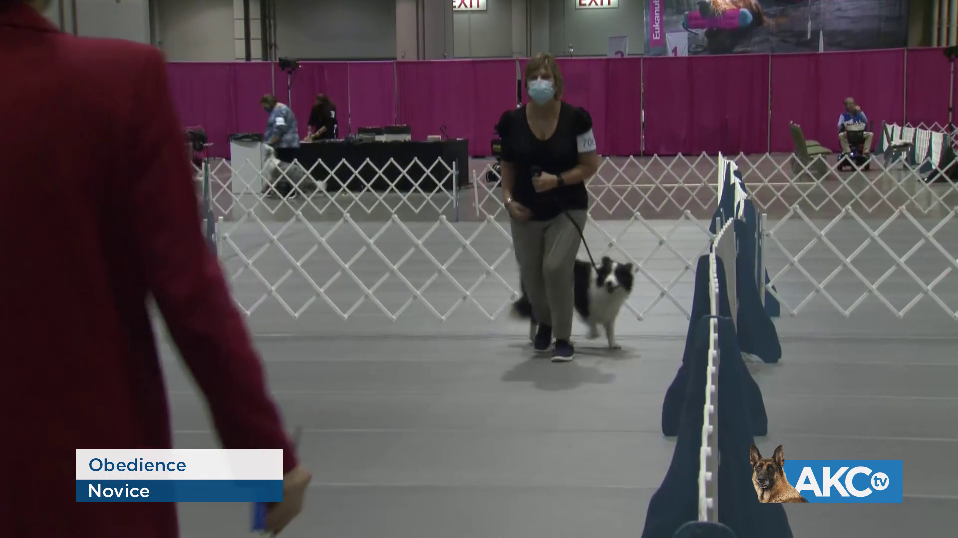 Obedience Novice Saturday - Part 2 | AKC.tv