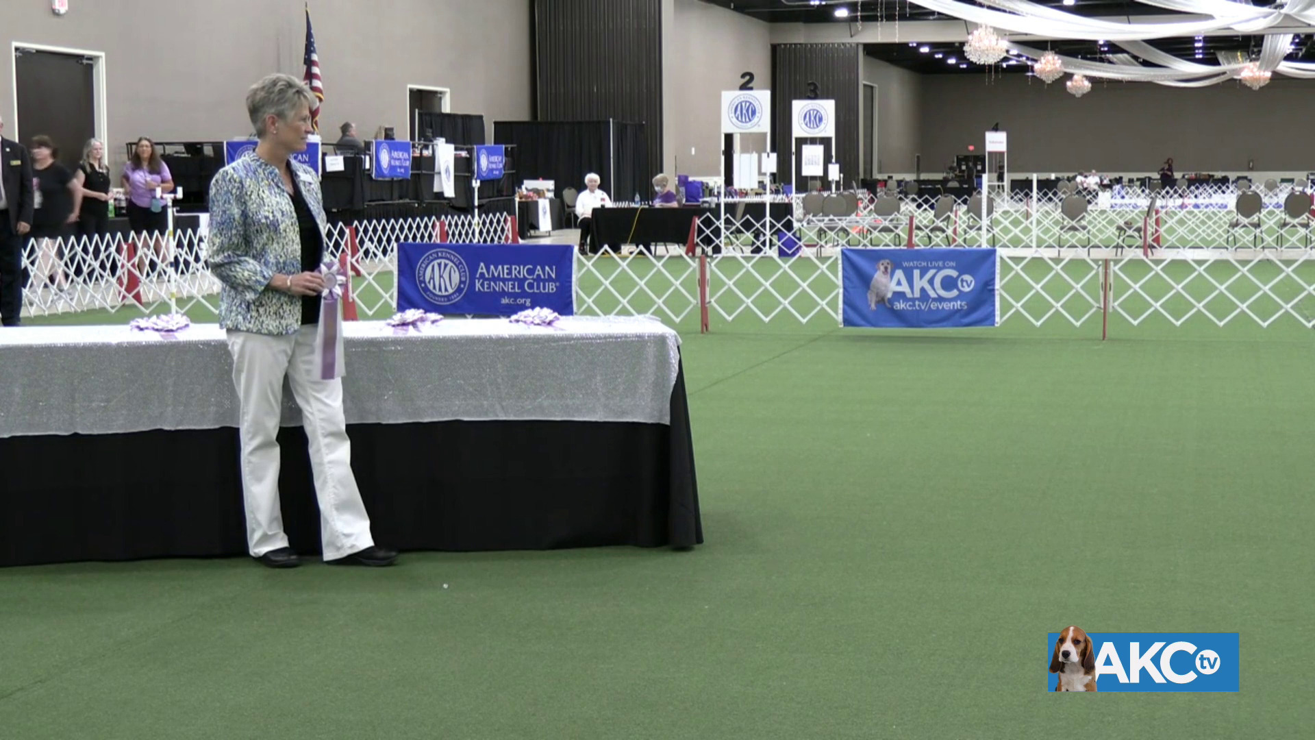 Awards - Top 20 | AKC.tv