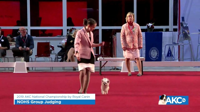 National Owner-Handled Series | AKC.tv