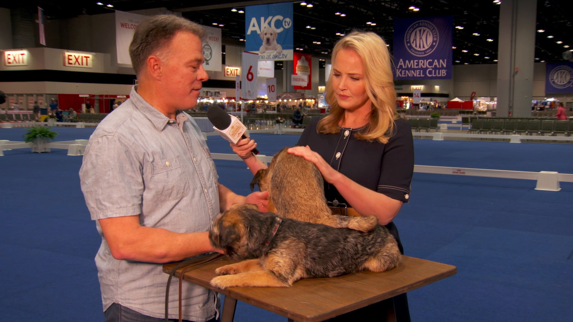 AKC.tv at the National Championship - Friday | AKC.tv