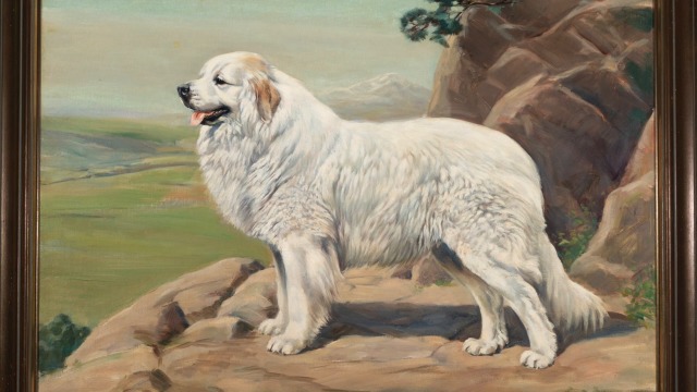 Women & Dogs: Mary Crane | AKC.tv