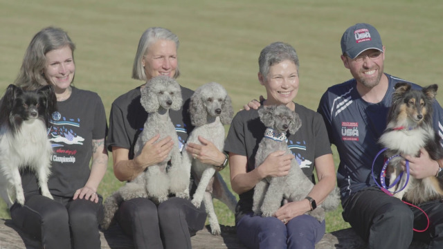 USA's Small Dog Team | AKC.tv