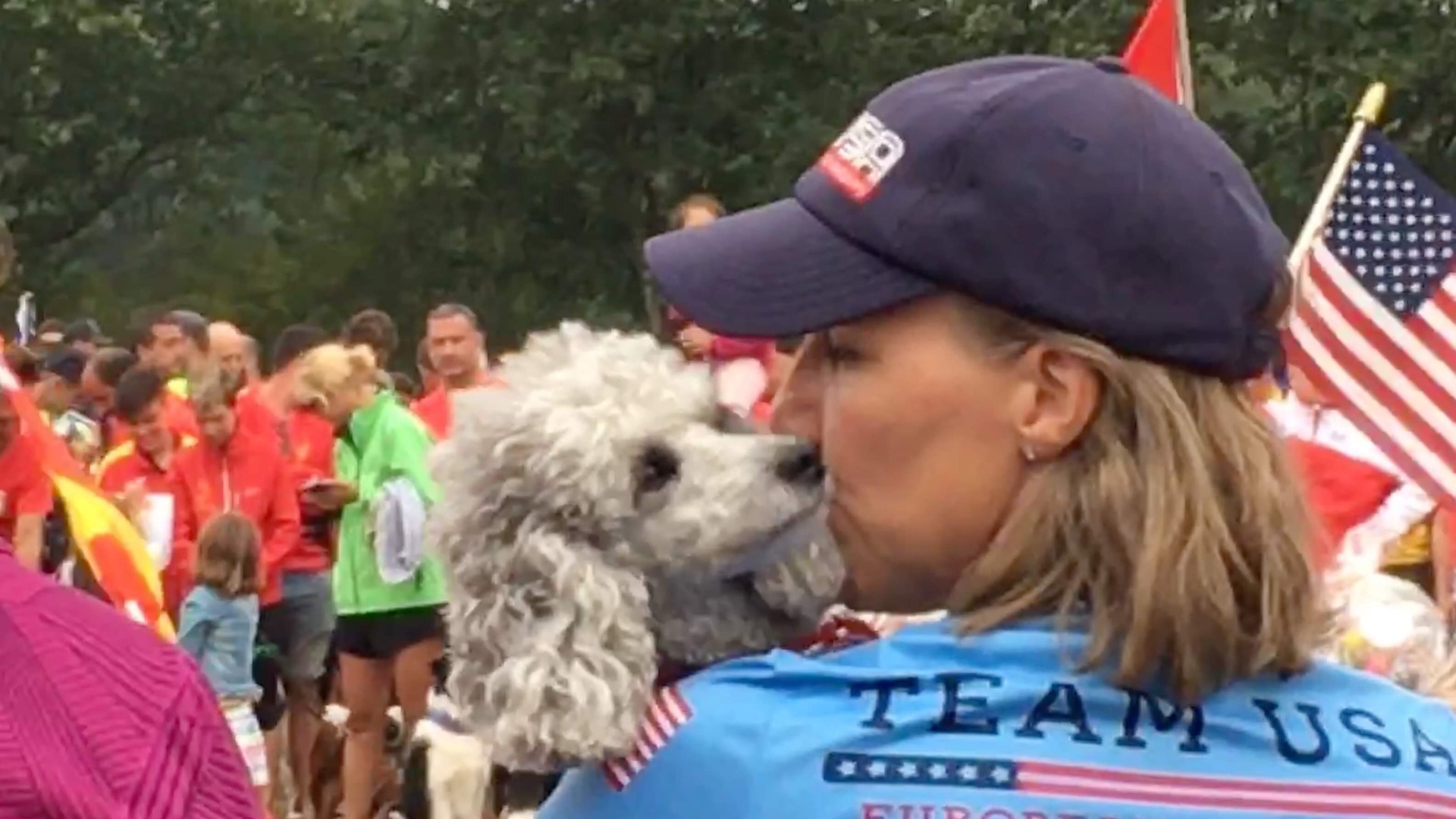 Going For Gold | AKC.tv