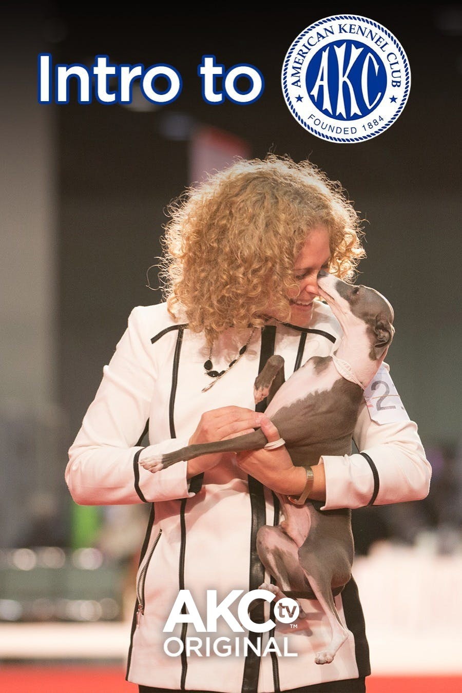 View Series & TV Shows on AKC.TV