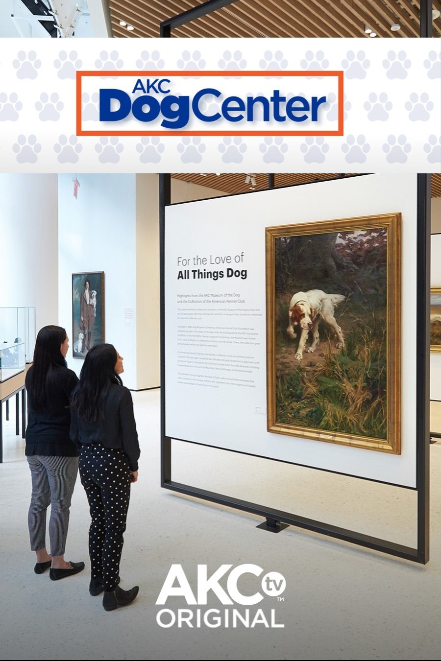 AKC Fetch Program Retriever Triple Retrieve | AKC.tv