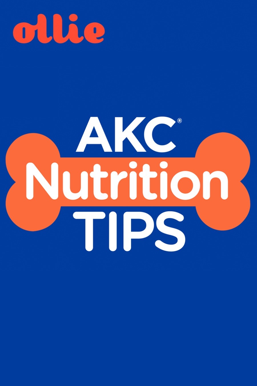 View Series & TV Shows on AKC.TV