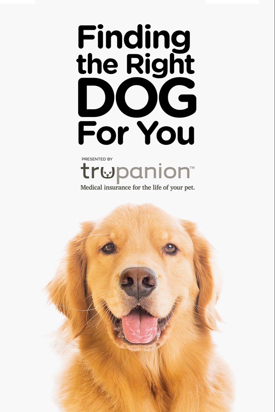 Breeder Toolkit Log-in Instructions | AKC.tv