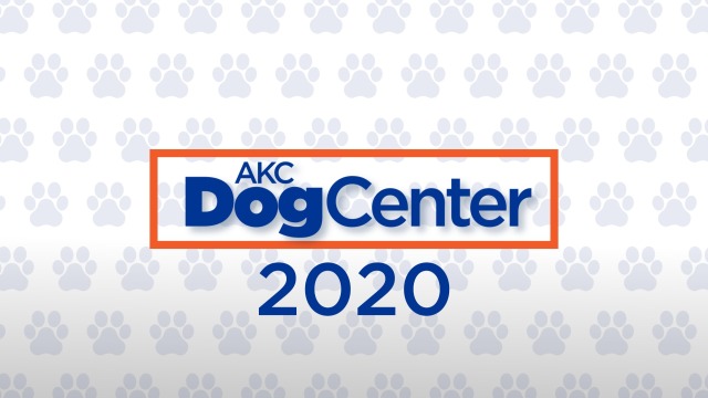 AKC Good Dog TV | AKC.tv