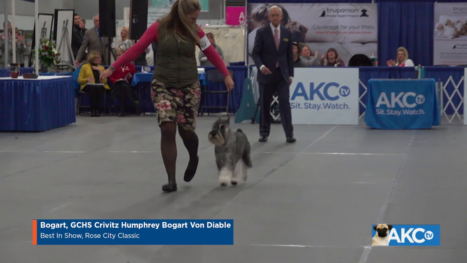 Rose City Classic Dog Show Results | AKC.tv