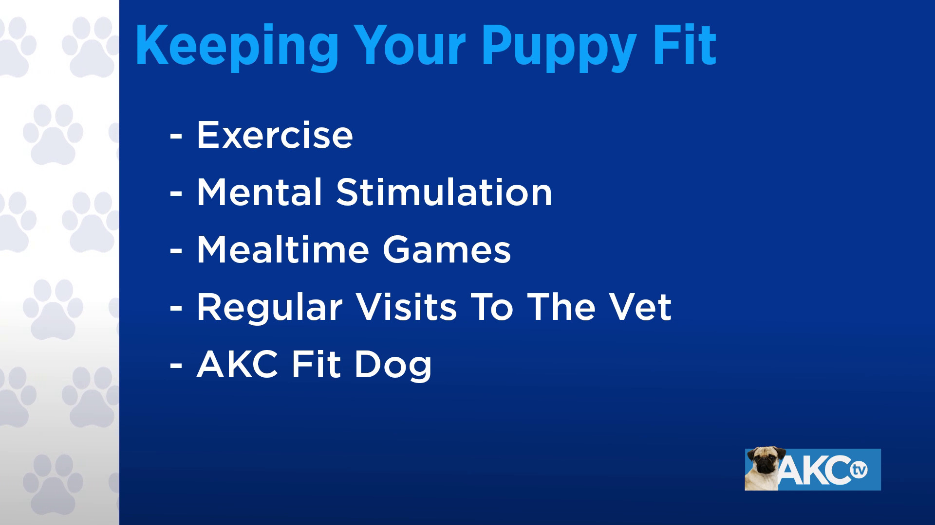 Keeping Your Puppy Fit With AKC Fit Dog | AKC.tv