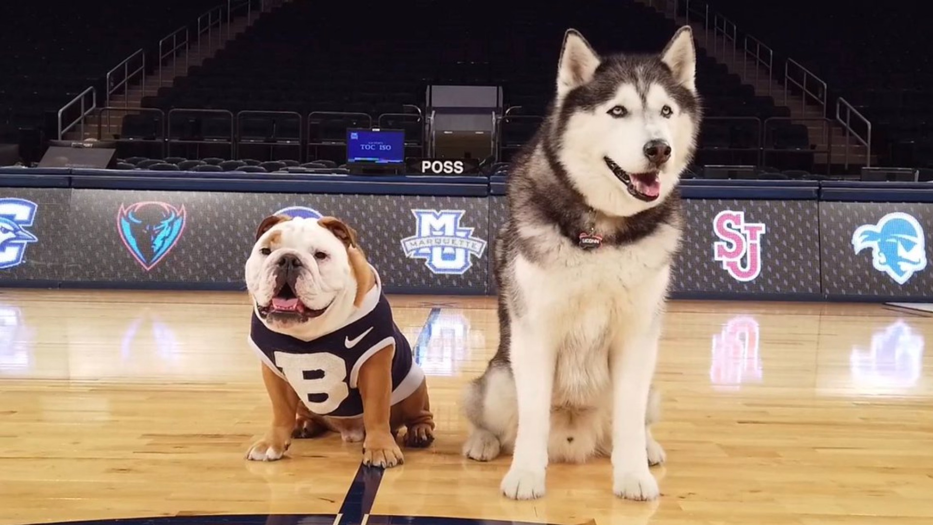 Butler Blue Meets UCONN's Jonathan | AKC.tv